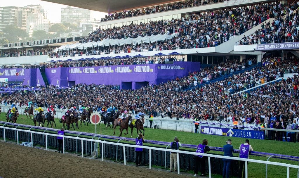 Hollywoodbets Durban July 2025 Betting Tips & Guide - The Gambler